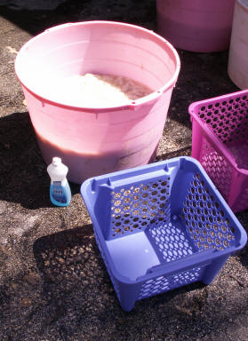 Preparing Wool – My Little Sheep