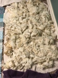 Preparing Wool – My Little Sheep