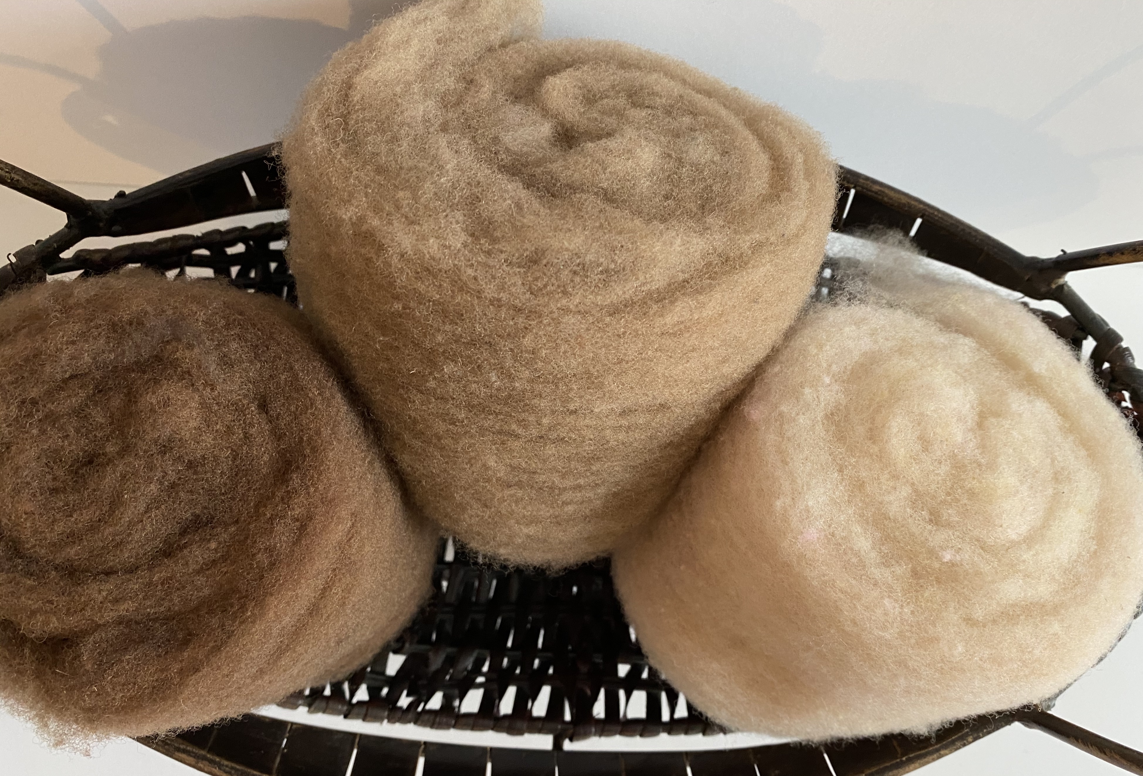 Why Wool? – My Little Sheep