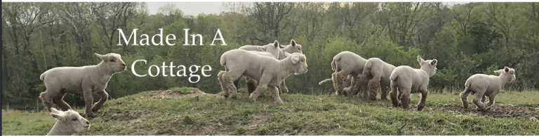 My Little Sheep – Olde English Babydoll Southdown Sheep