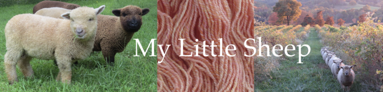 My Little Sheep – Olde English Babydoll Southdown Sheep